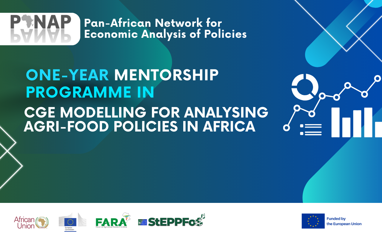 One-year Mentorship Programme in CGE Modelling for Analysing Agri-food ...